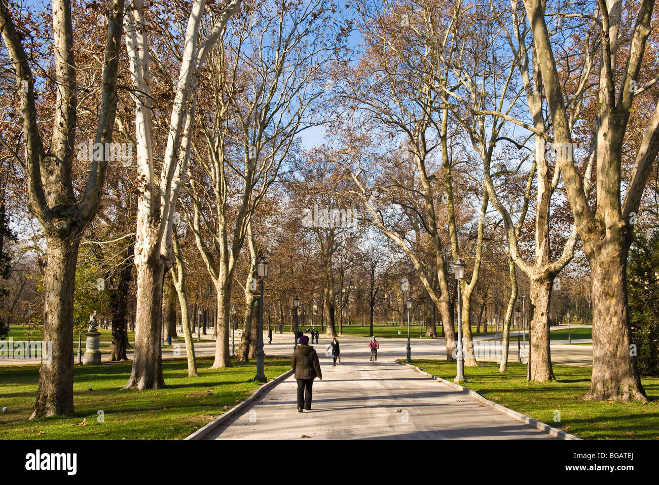 Parco parma immagini e fotografie stock ad alta risoluzione - Alamy