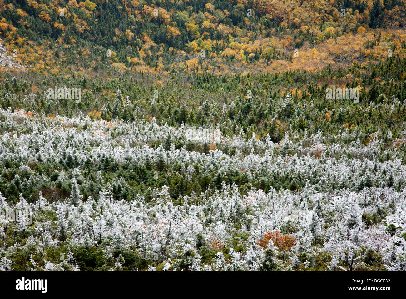 Franconia Notch State Park - vedute panoramiche lungo il Rim Trail sul ...