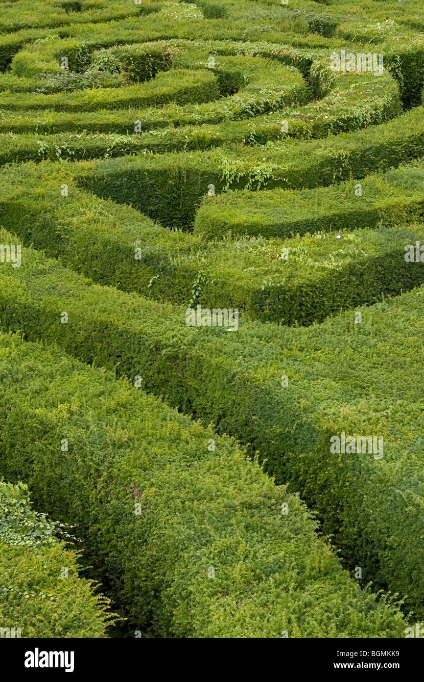Labirinto classico immagini e fotografie stock ad alta risoluzione - Alamy