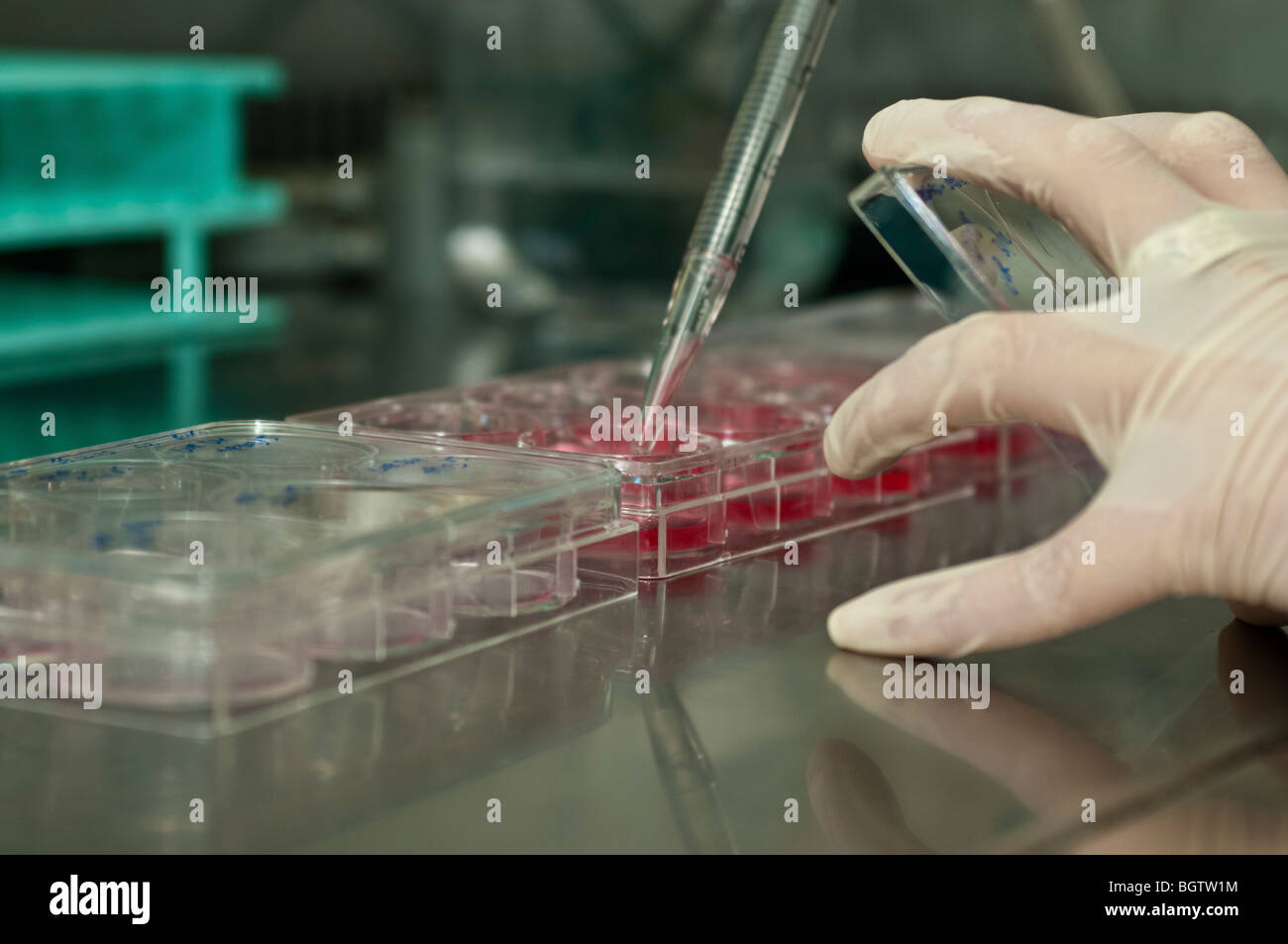 Cappa da laboratorio immagini e fotografie stock ad alta risoluzione ...