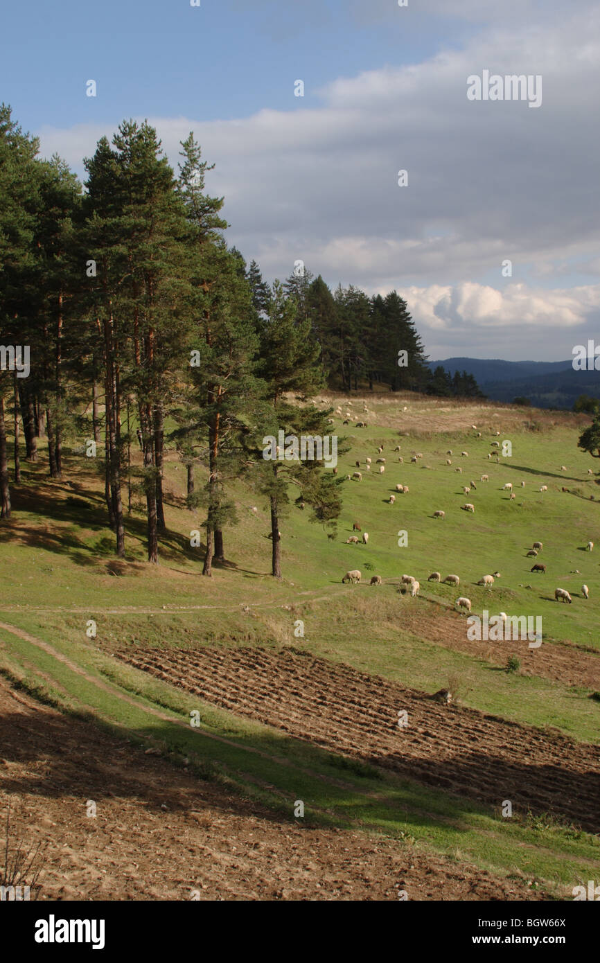 Montagna rodopi immagini e fotografie stock ad alta risoluzione - Alamy