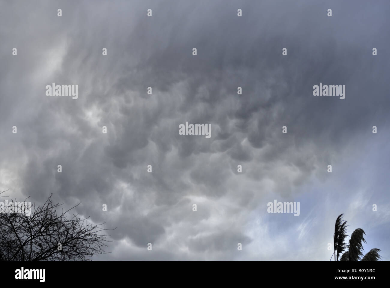 Strano e insolito immagini e fotografie stock ad alta risoluzione - Alamy