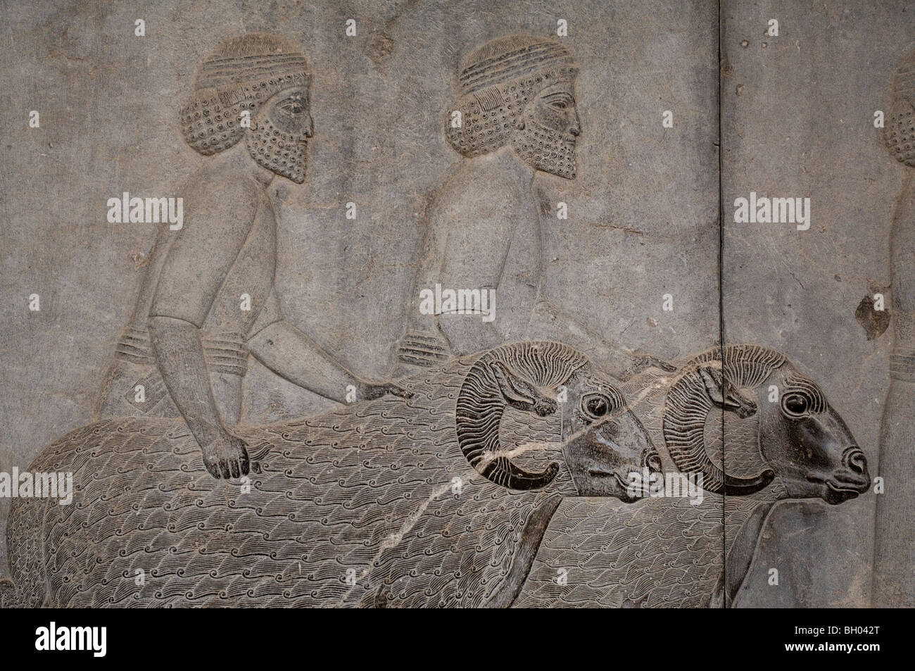 IRAN, Persepolis , Takht-e Jamshid ,il cerimoniale di capitale dell ...