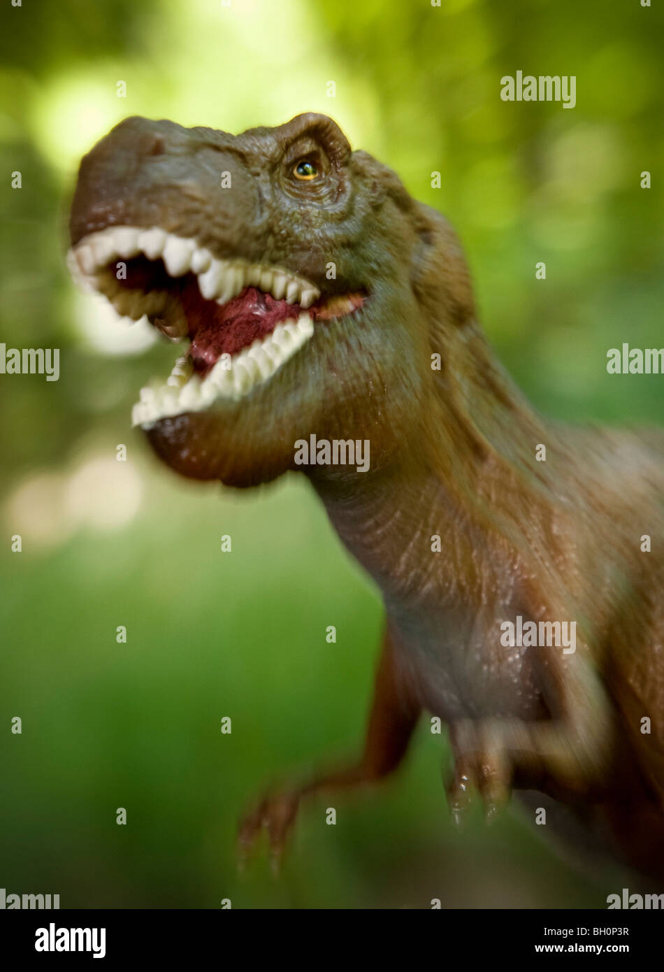 Tyrannosaurus rex teeth immagini e fotografie stock ad alta risoluzione ...