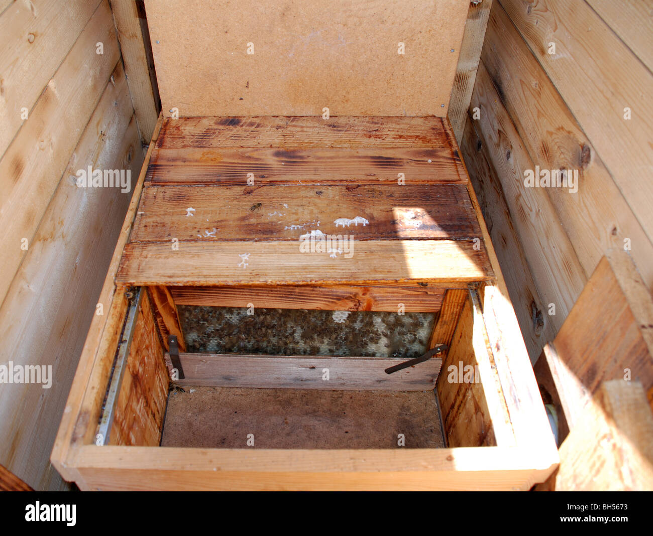 Dentro un alveare immagini e fotografie stock ad alta risoluzione - Alamy