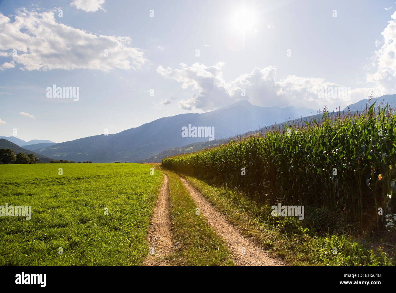 Lungo il campo immagini e fotografie stock ad alta risoluzione - Alamy
