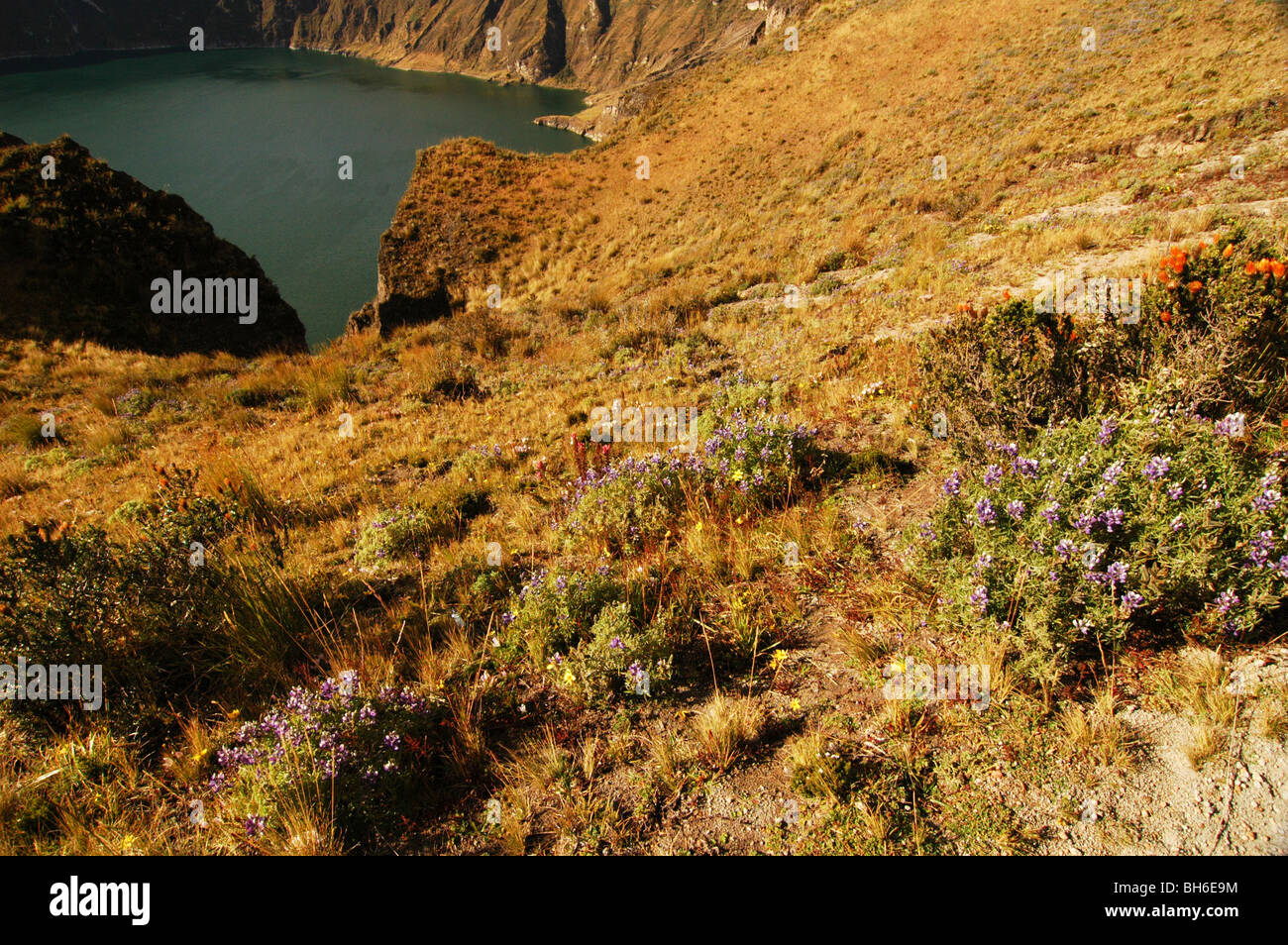 Quilotoa, Ecuador, panoramica del vulcano Quilotoa, il vulcano ...