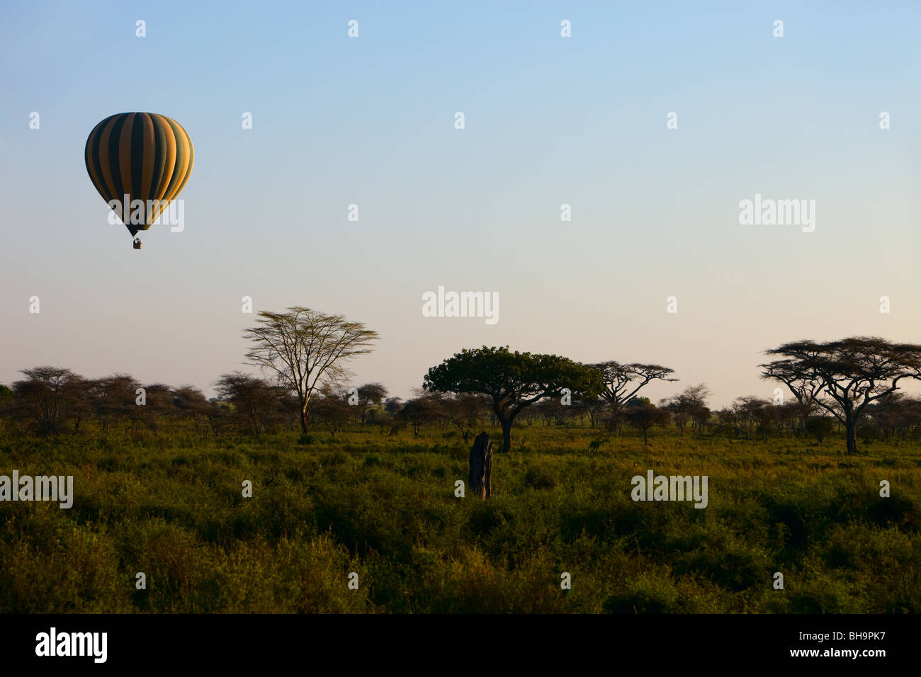 Giro turistico in mongolfiera immagini e fotografie stock ad alta ...