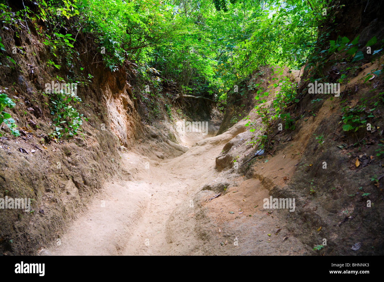Erosione del burrone immagini e fotografie stock ad alta risoluzione ...