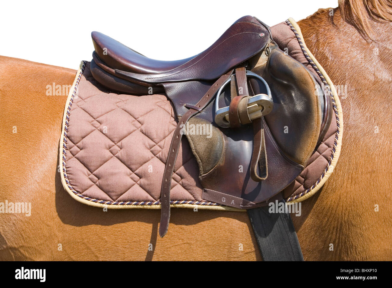 Cavallo e sella immagini e fotografie stock ad alta risoluzione - Alamy