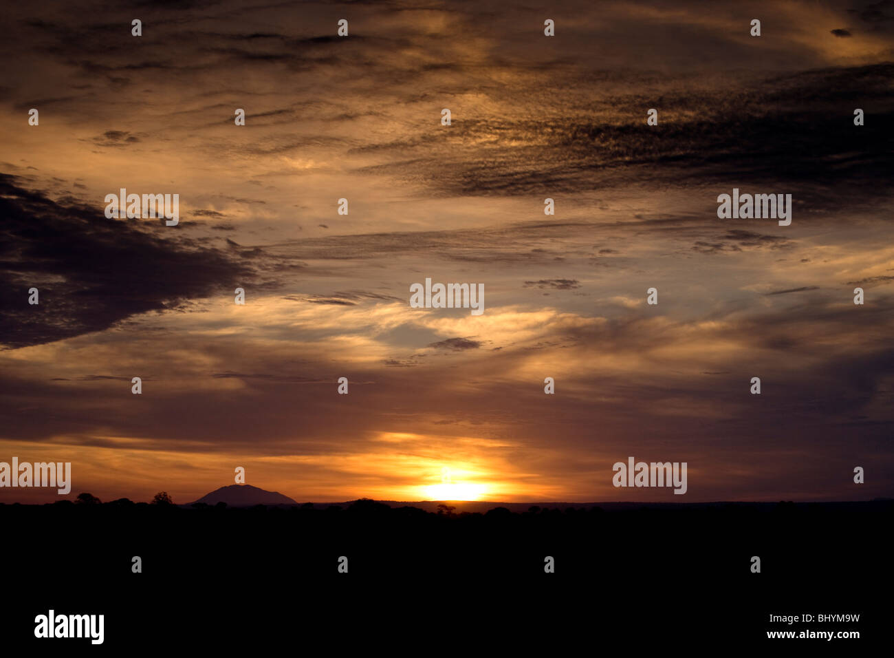 Area di conservazione del tarangire immagini e fotografie stock ad alta ...