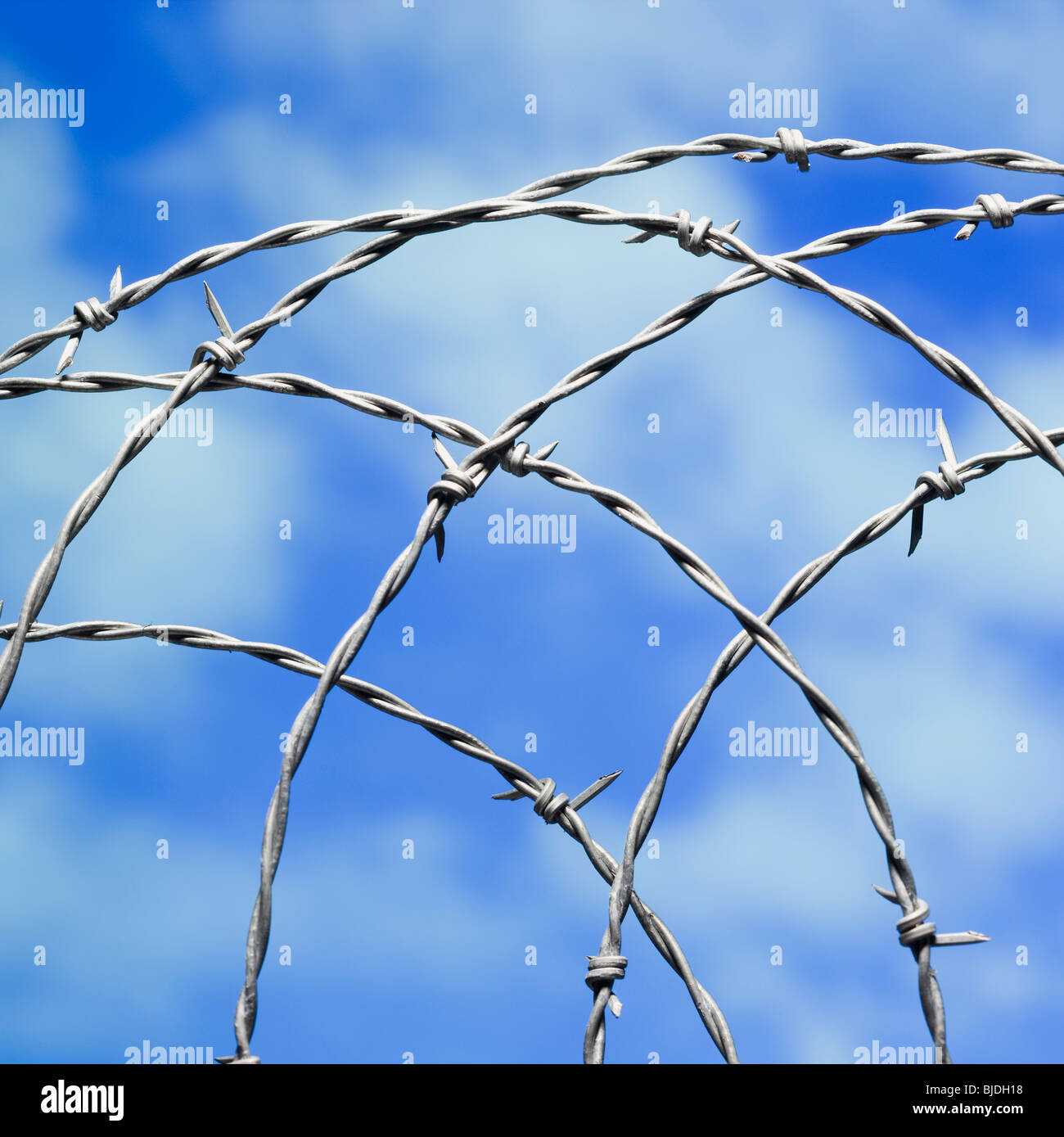 Spinato fili immagini e fotografie stock ad alta risoluzione - Alamy