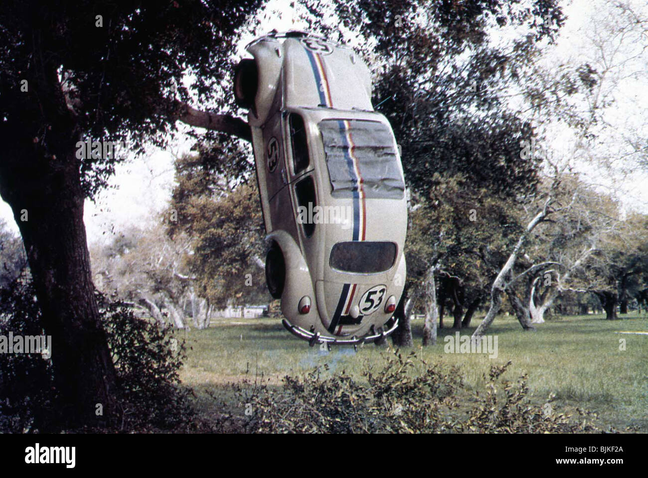 The love bug 1968 immagini e fotografie stock ad alta risoluzione - Alamy