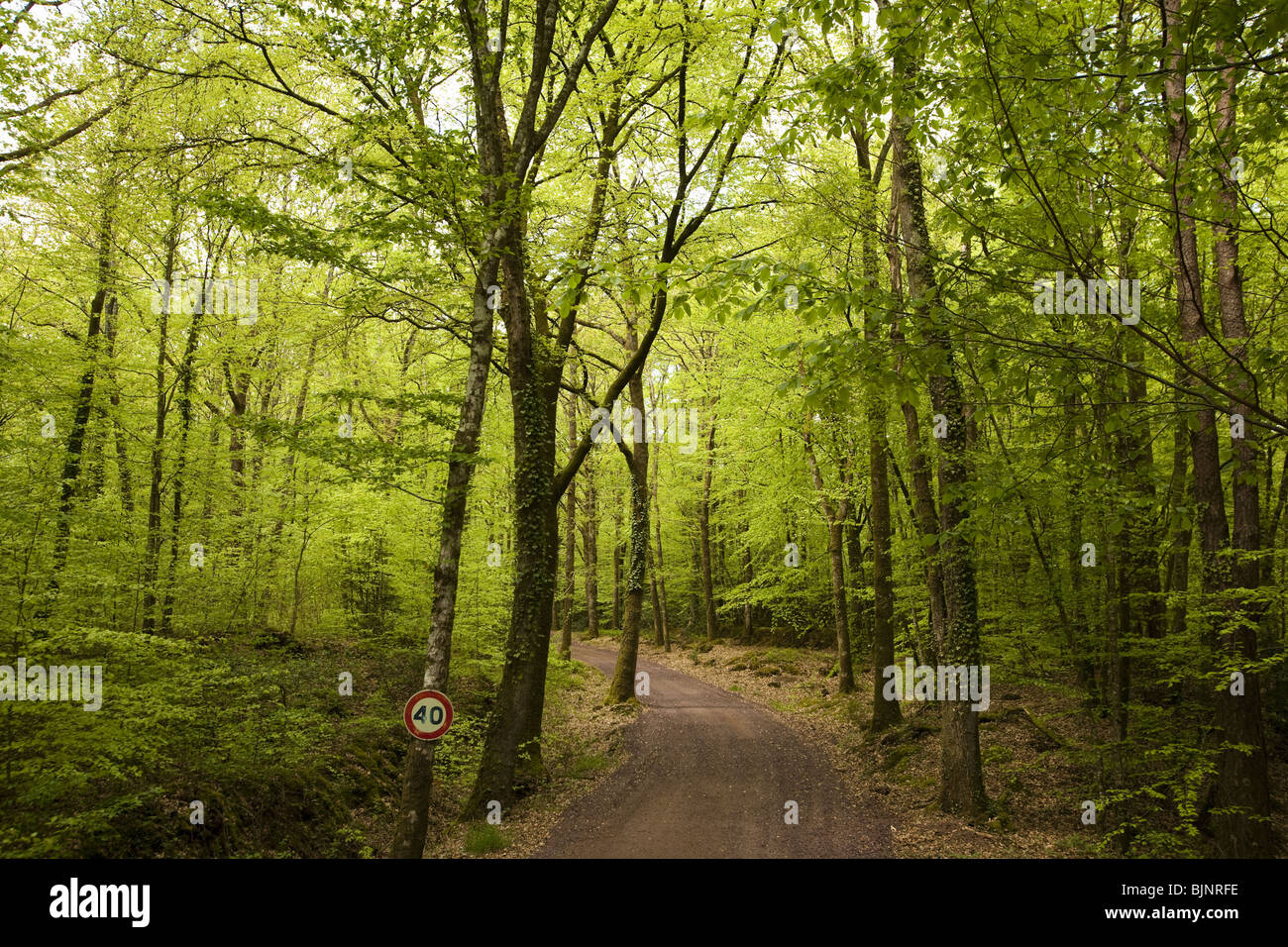 Strade di campagna immagini e fotografie stock ad alta risoluzione - Alamy