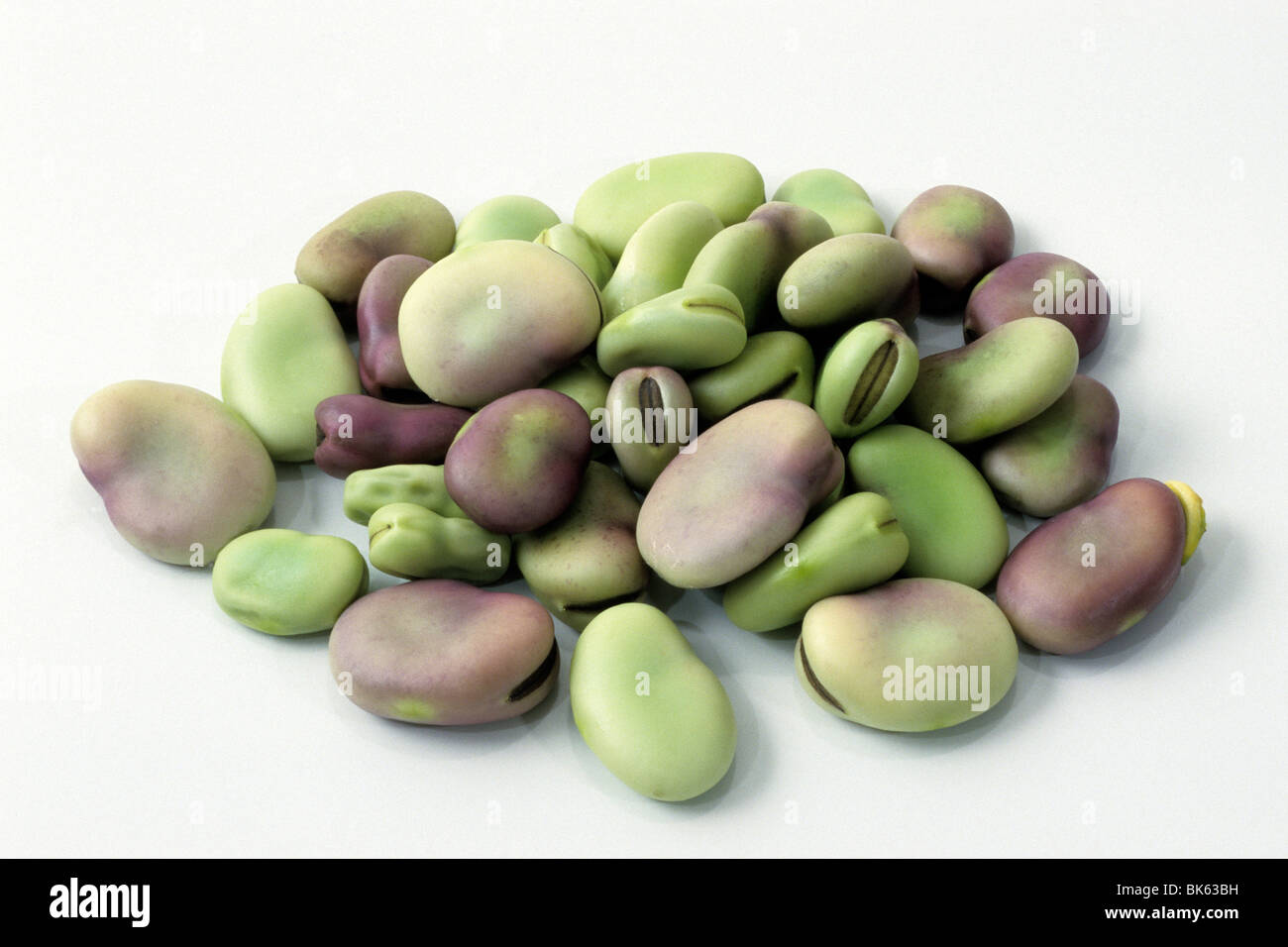 Fava vicia faba immagini e fotografie stock ad alta risoluzione - Alamy