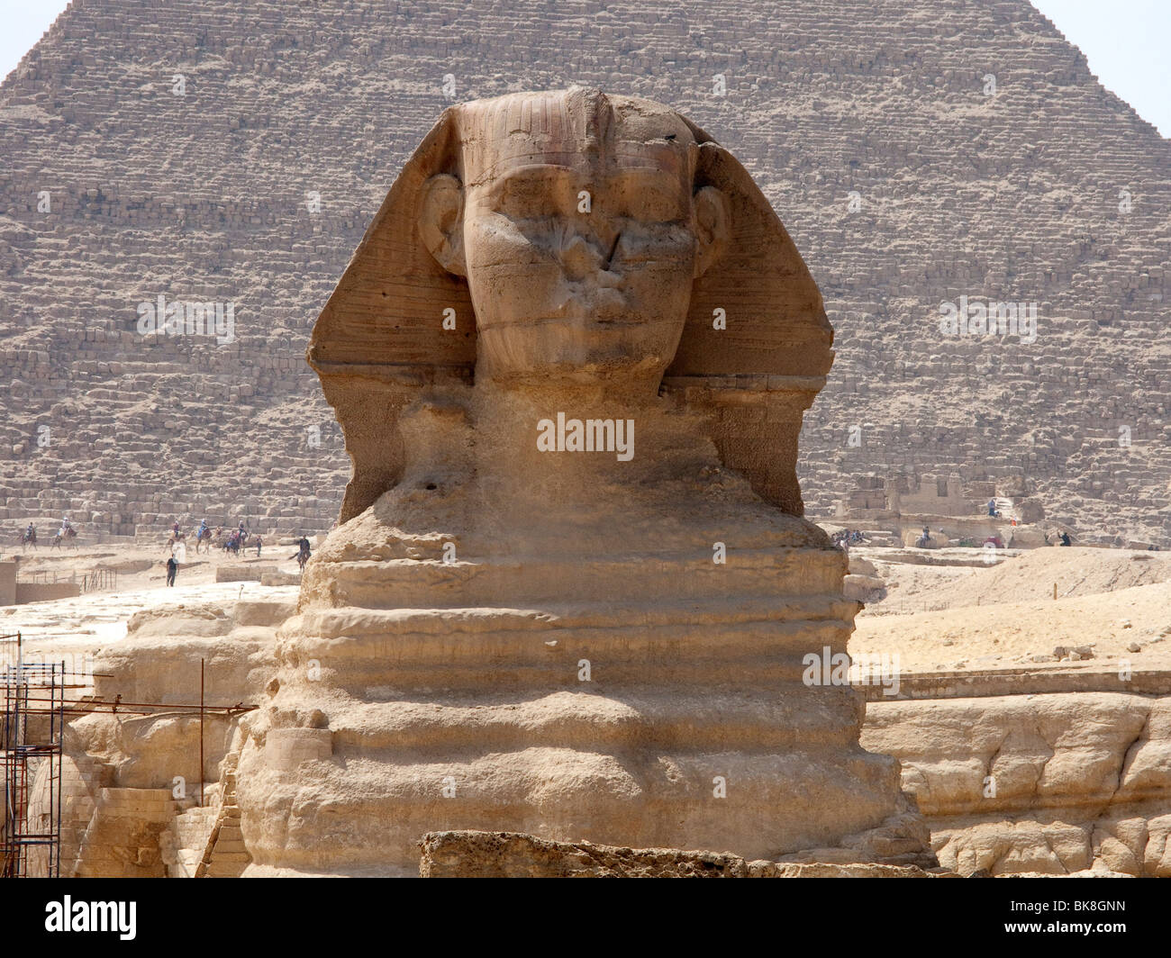 Grande sfinge piramide altopiano di giza immagini e fotografie stock ad ...
