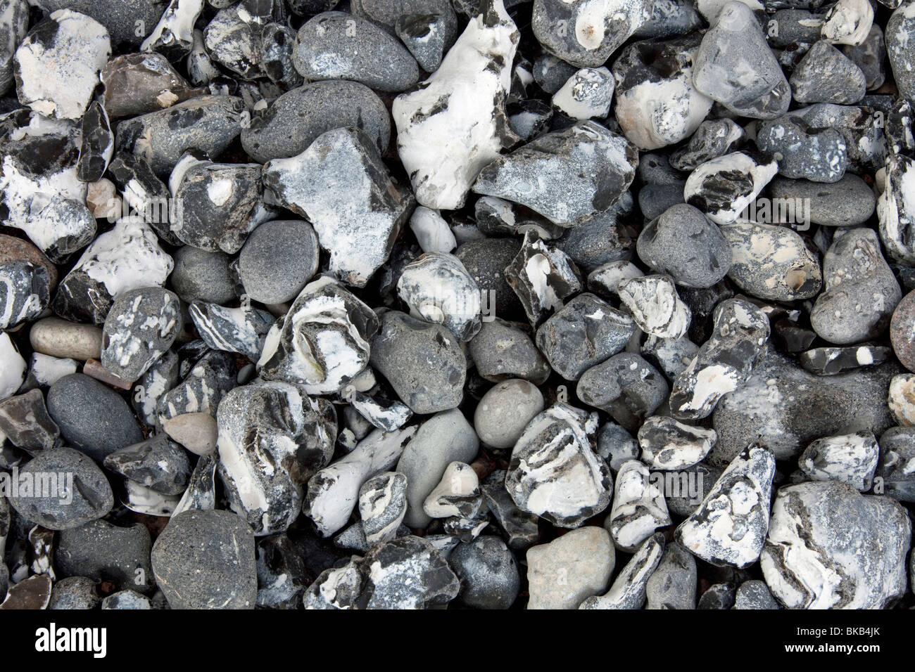 Selce roccia immagini e fotografie stock ad alta risoluzione - Alamy