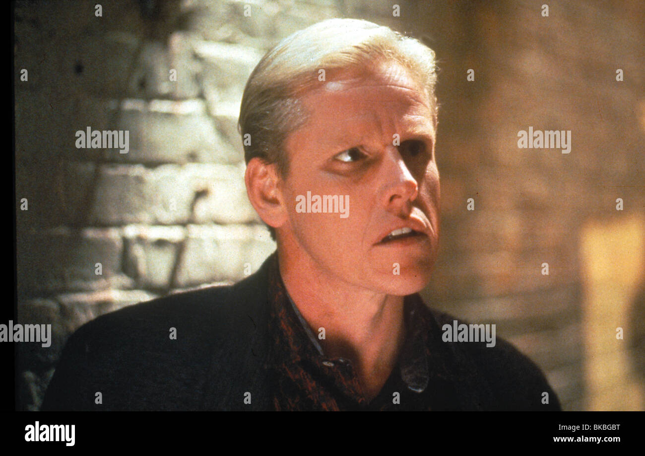 Gary busey immagini e fotografie stock ad alta risoluzione - Alamy