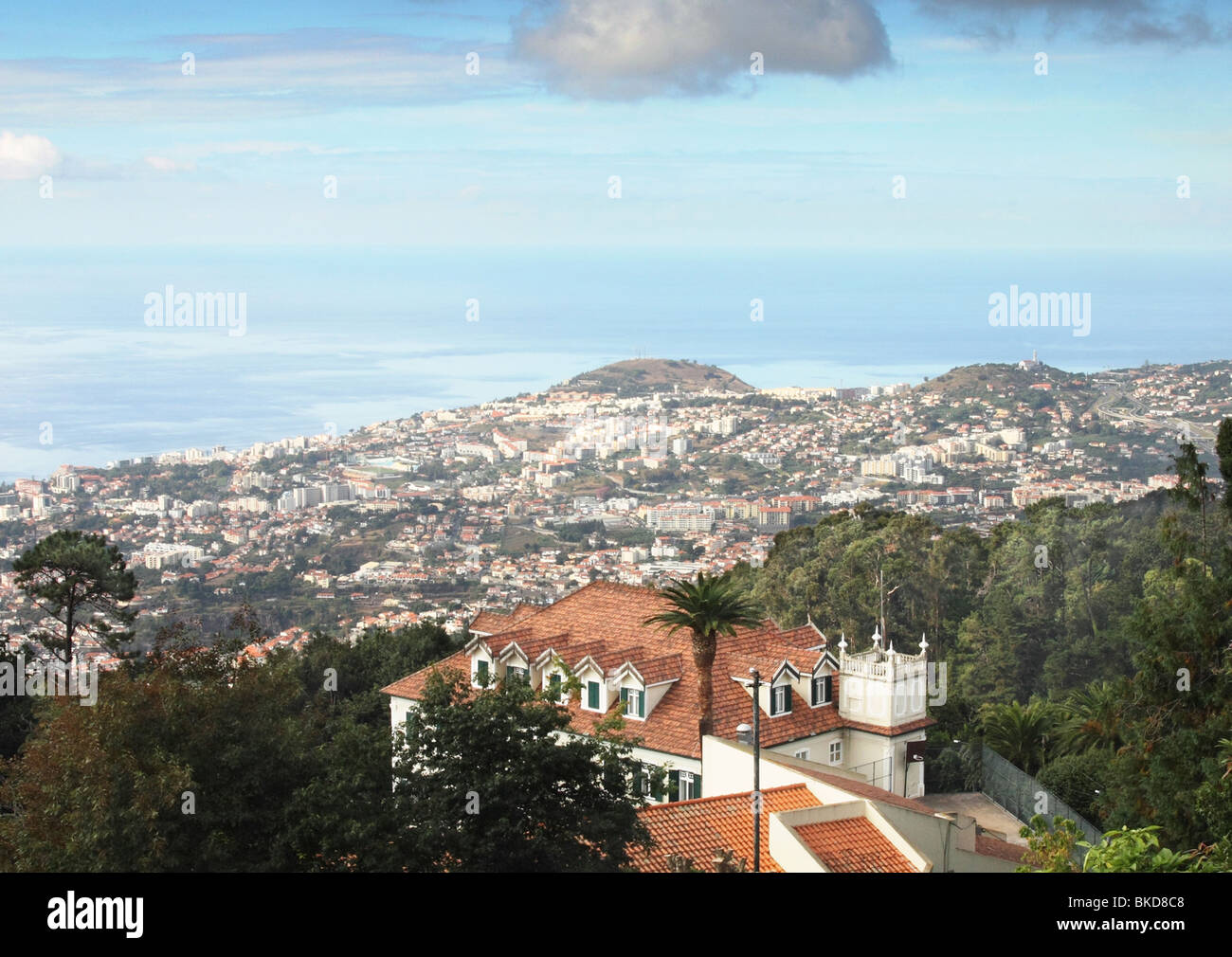 Isola di madeira immagini e fotografie stock ad alta risoluzione - Alamy