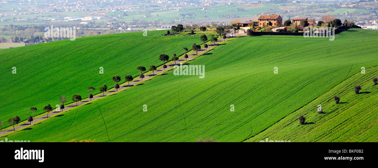 Colline marchigiane immagini e fotografie stock ad alta risoluzione - Alamy