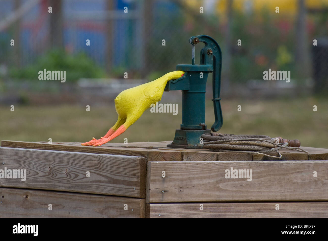 Situazione pionieristica immagini e fotografie stock ad alta ...
