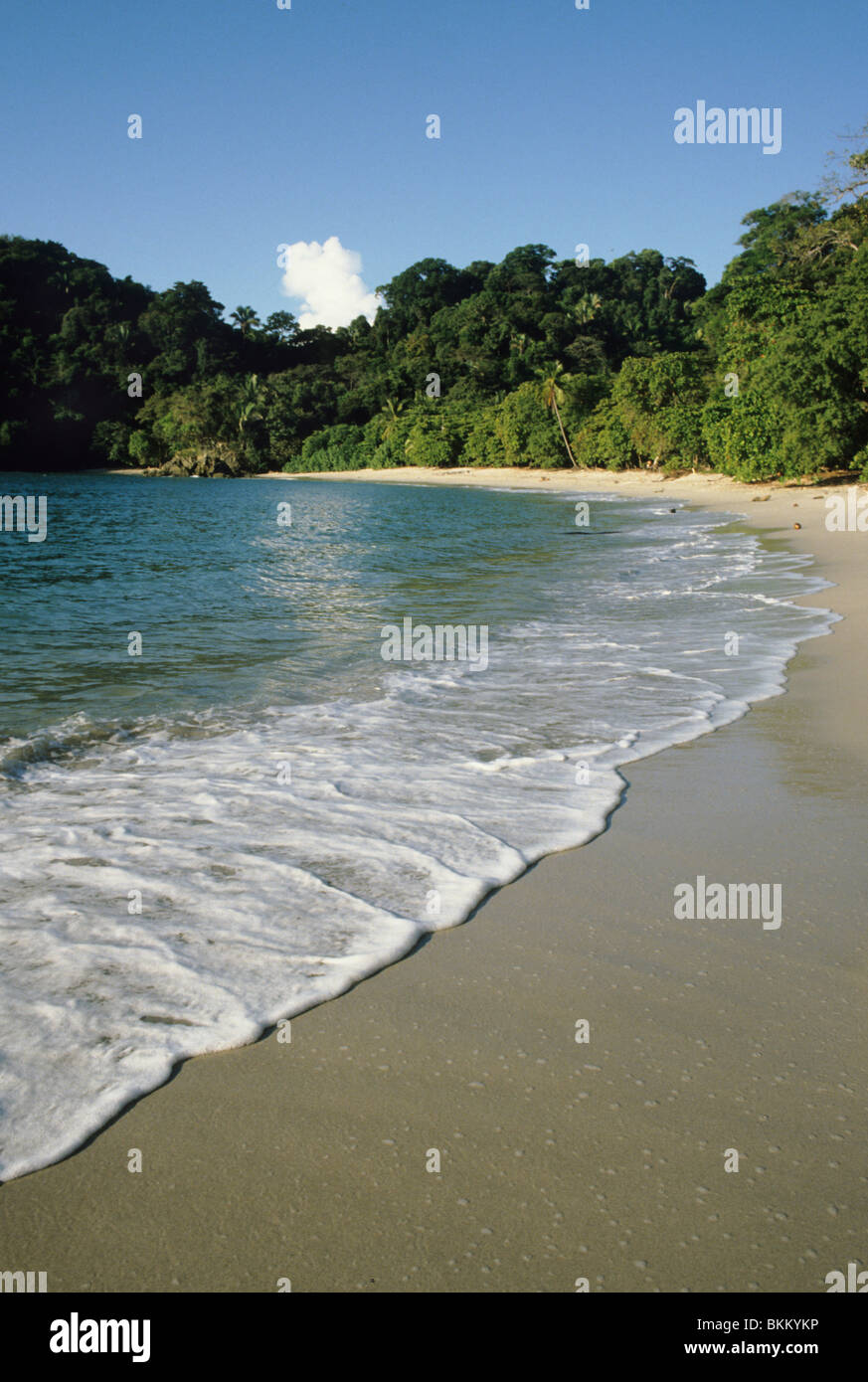 Manuel costa immagini e fotografie stock ad alta risoluzione - Alamy