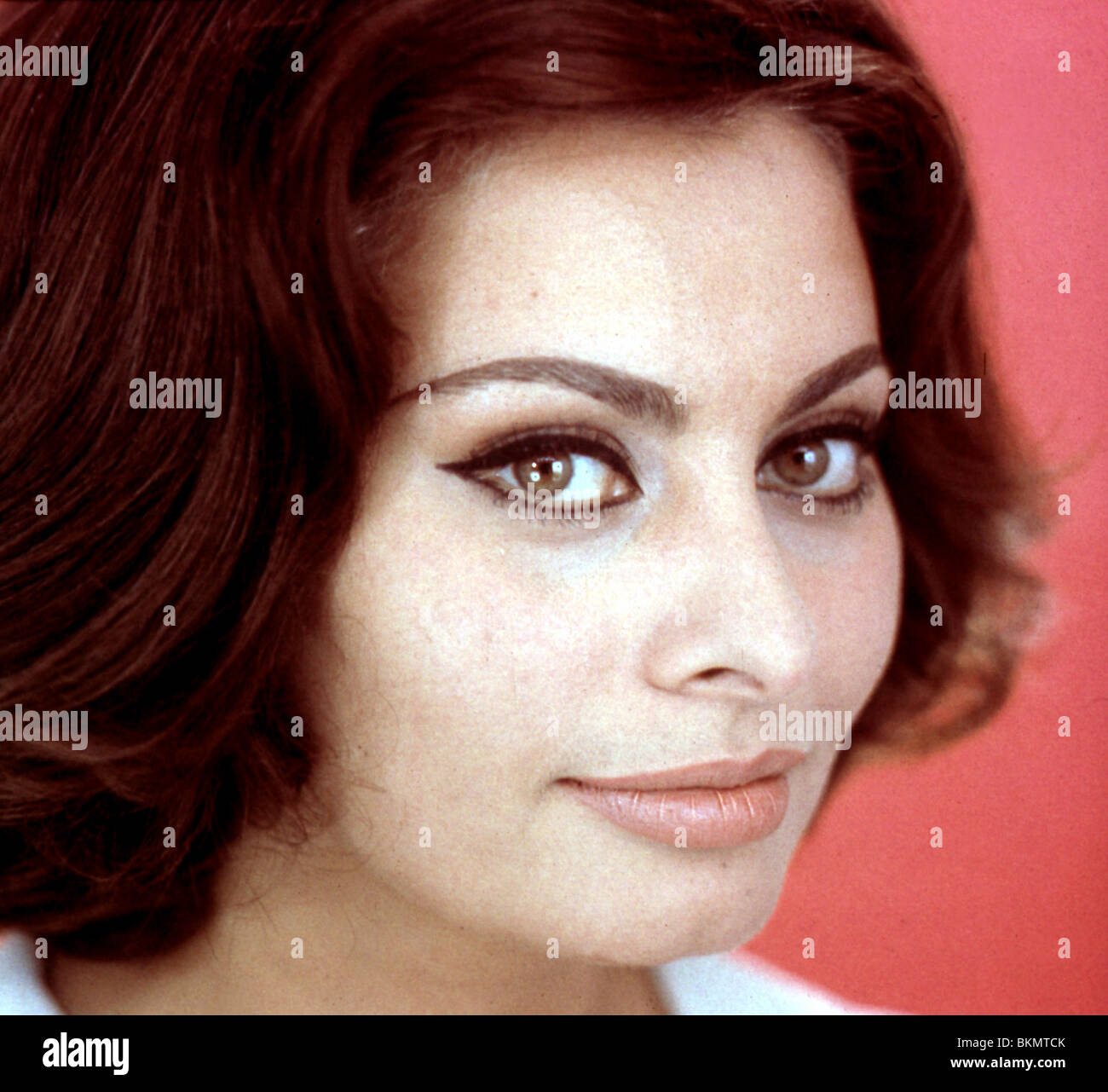 Sophia loren sophia loren sophia immagini e fotografie stock ad alta ...