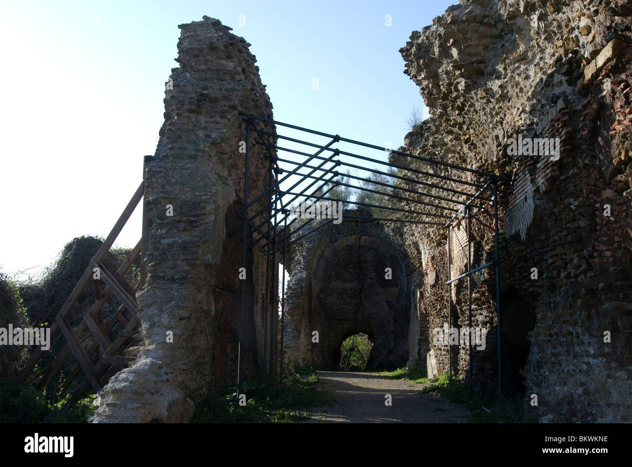 La Cicero (o di Tiberio) villa di Tuscolo Foto stock - Alamy