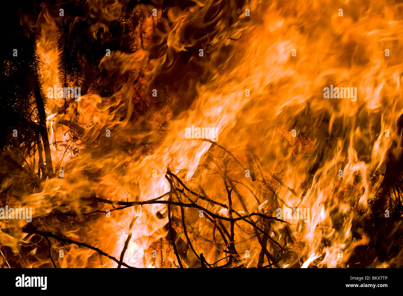 Foresta infuocata immagini e fotografie stock ad alta risoluzione - Alamy