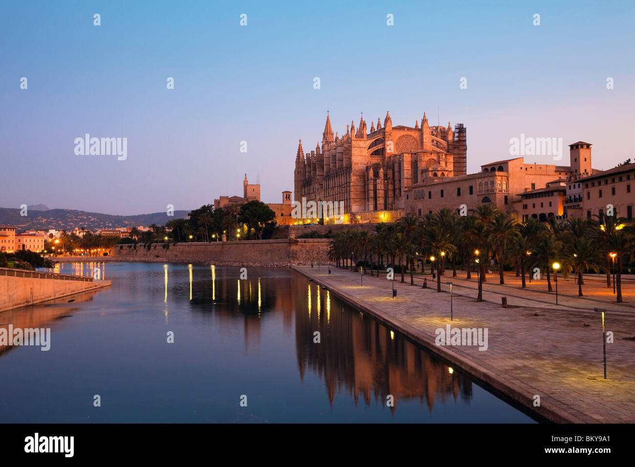 Mare di palma di maiorca immagini e fotografie stock ad alta ...