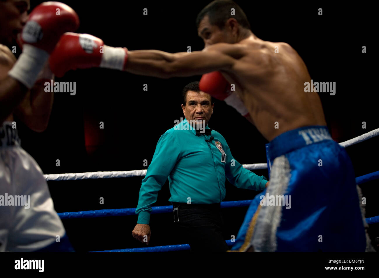 Boxing referee immagini e fotografie stock ad alta risoluzione - Alamy