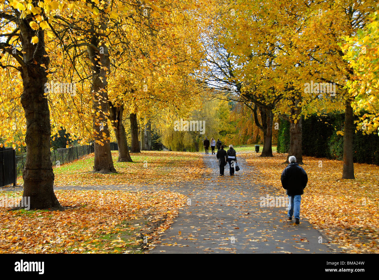 Persone che camminano in un parco, autunno, Cardiff, Galles, Gran ...