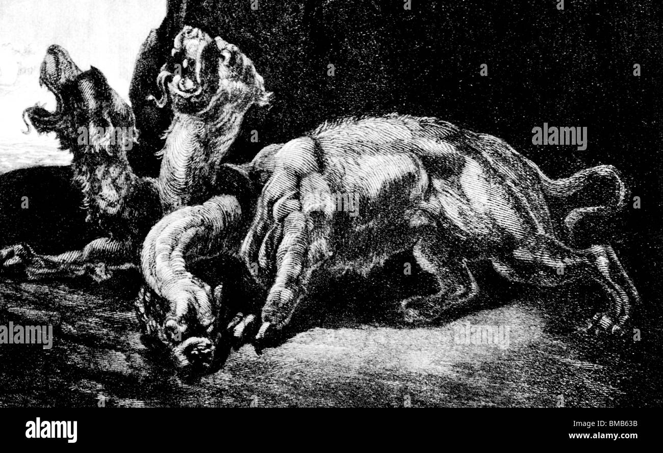 Il cerbero di hellhound a tre teste immagini e fotografie stock ad alta ...