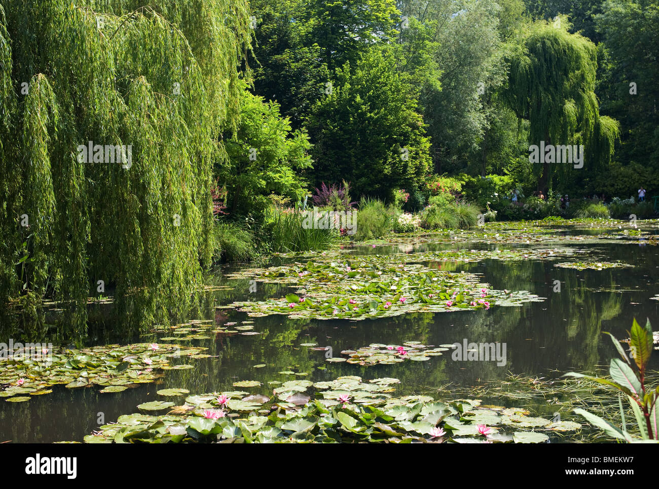 Giardino del pittore claude monet immagini e fotografie stock ad alta ...