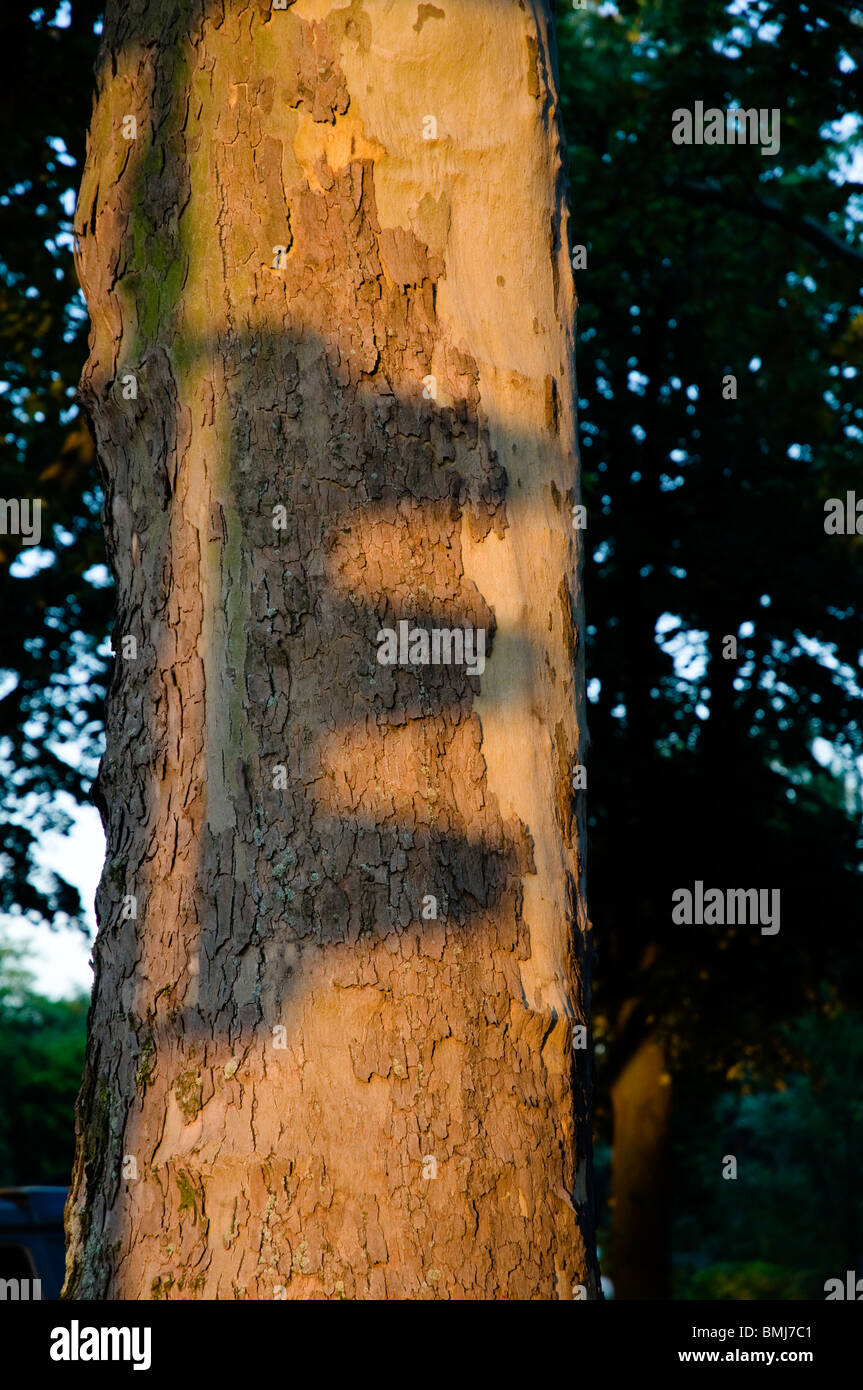Letter e alphabet immagini e fotografie stock ad alta risoluzione - Alamy