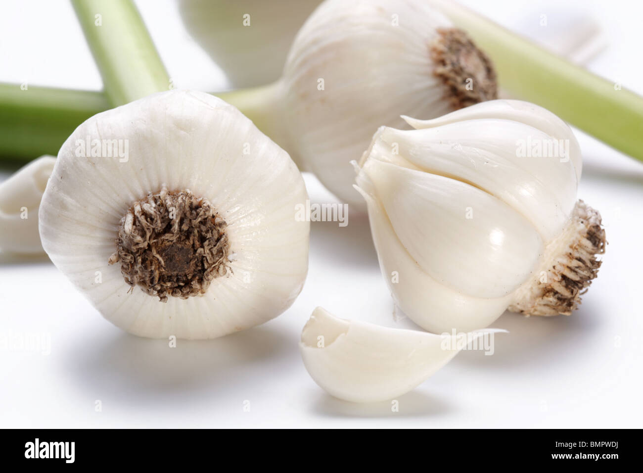 Bulbo di aglio su bianco immagini e fotografie stock ad alta ...
