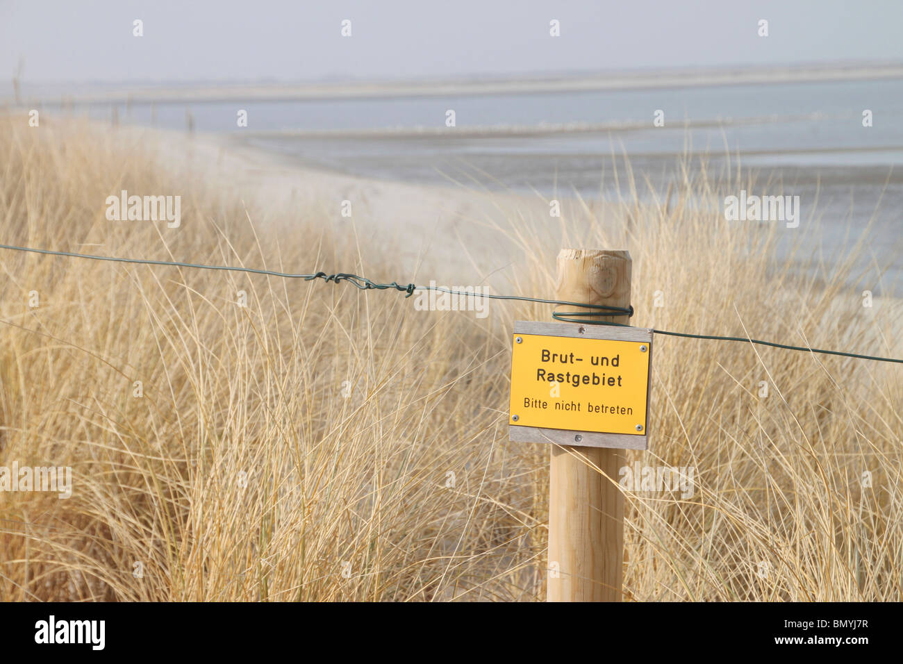 Area di cova immagini e fotografie stock ad alta risoluzione - Alamy