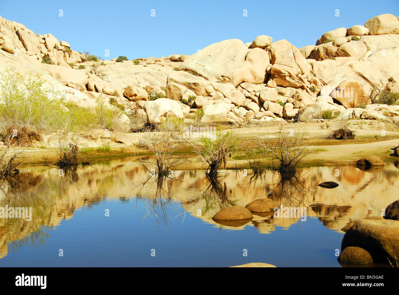 Ventinove oasi di palme immagini e fotografie stock ad alta risoluzione ...