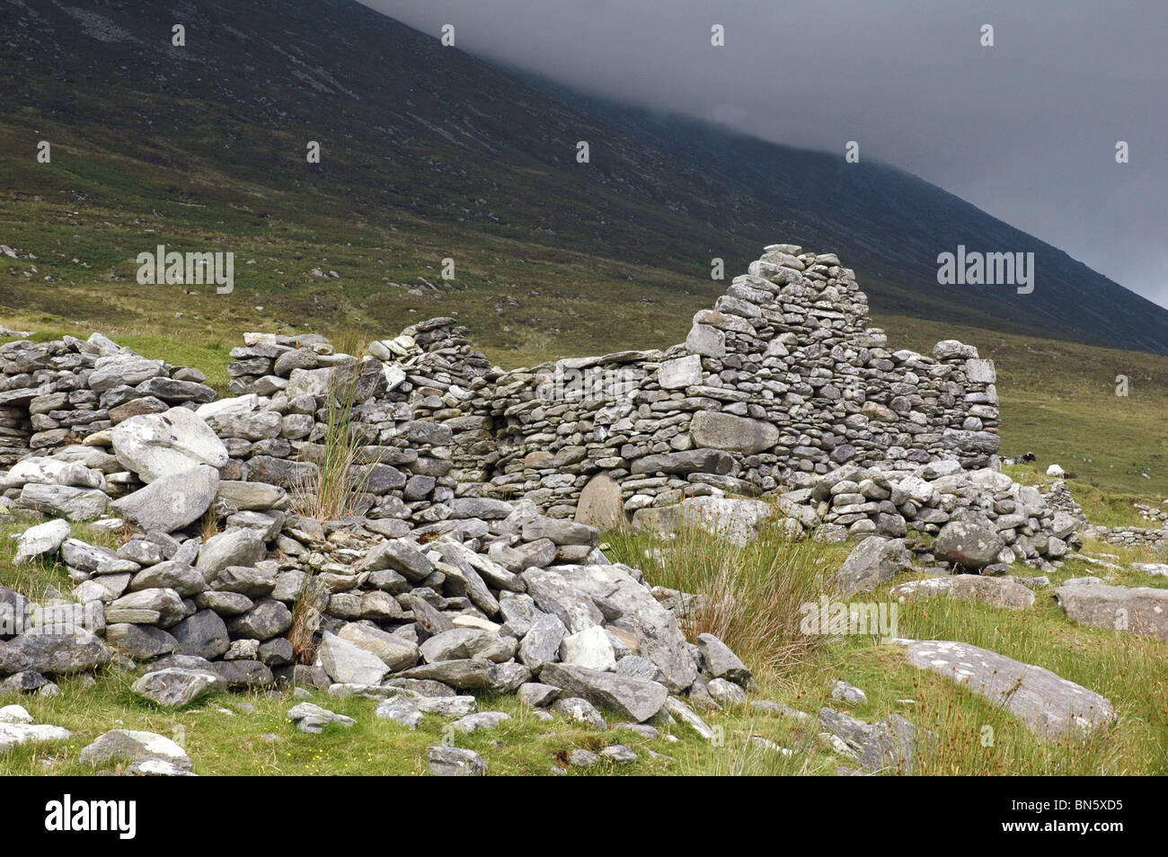 Carestia irlandese immagini e fotografie stock ad alta risoluzione - Alamy