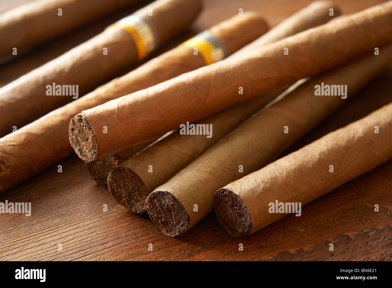 Sigari cohiba immagini e fotografie stock ad alta risoluzione - Alamy