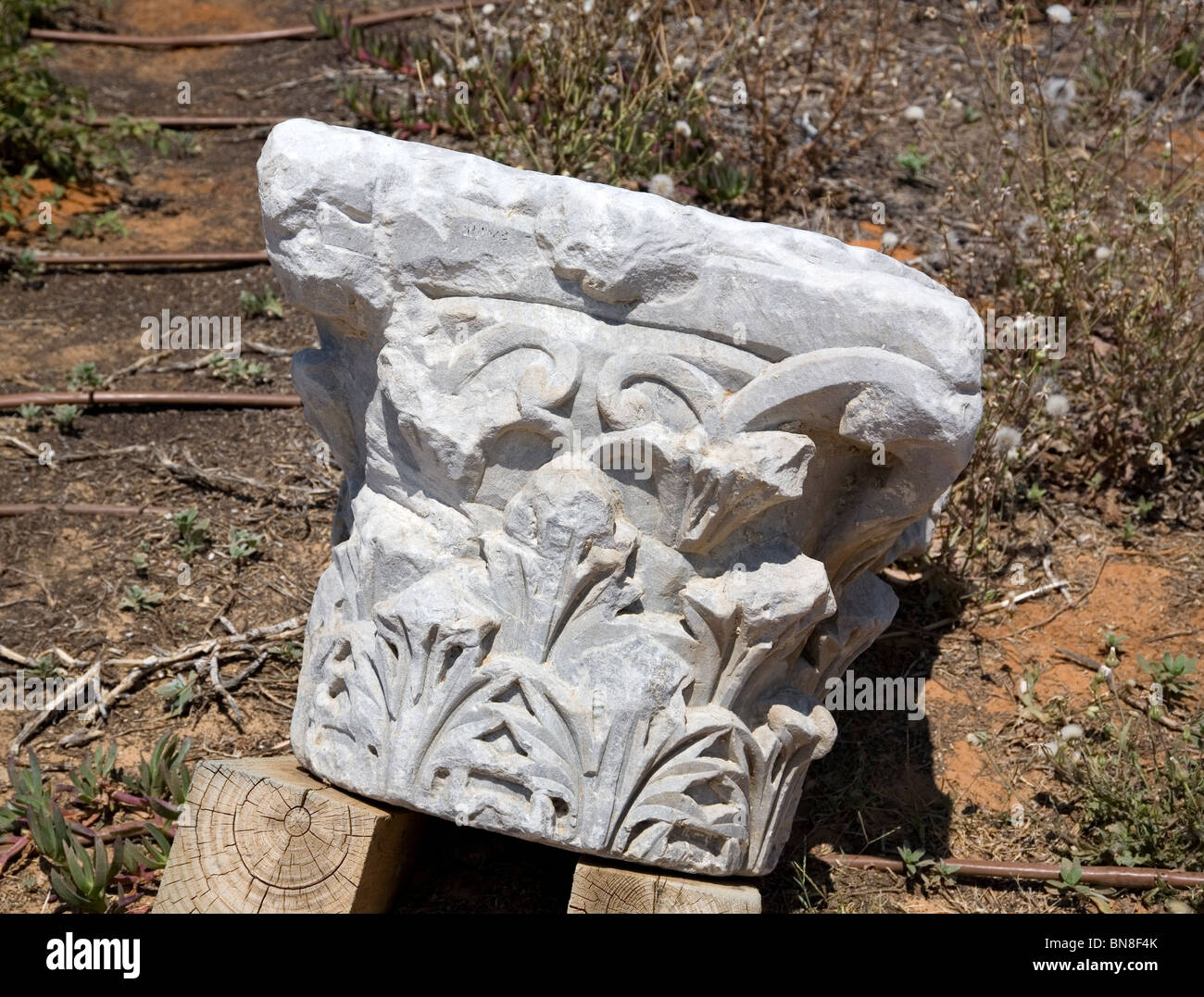 Capitelli romani immagini e fotografie stock ad alta risoluzione - Alamy