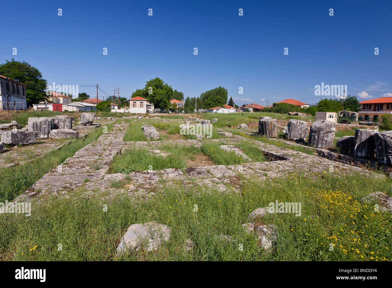 Athena alea immagini e fotografie stock ad alta risoluzione - Alamy