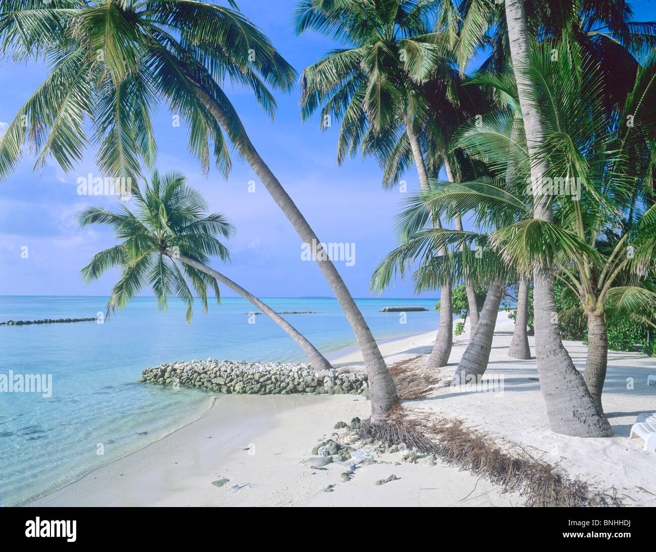 Maldive oceano Indiano sud atollo di Ari palme laguna Hilton Rangali ...