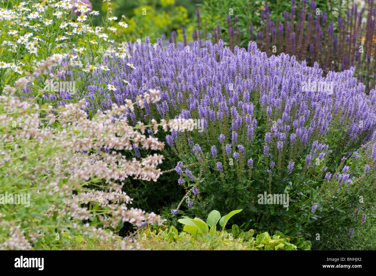 Parti del letto immagini e fotografie stock ad alta risoluzione - Alamy