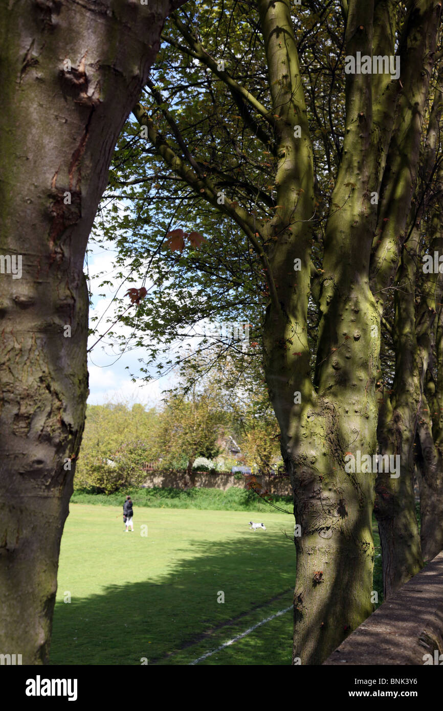 Derby di darley park immagini e fotografie stock ad alta risoluzione ...