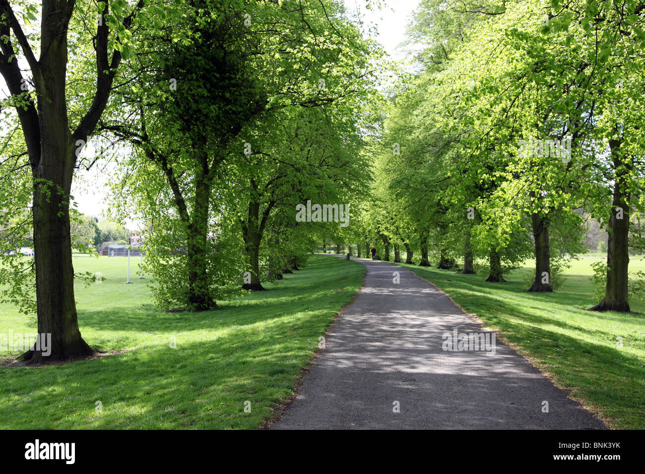 Derby di darley park immagini e fotografie stock ad alta risoluzione ...