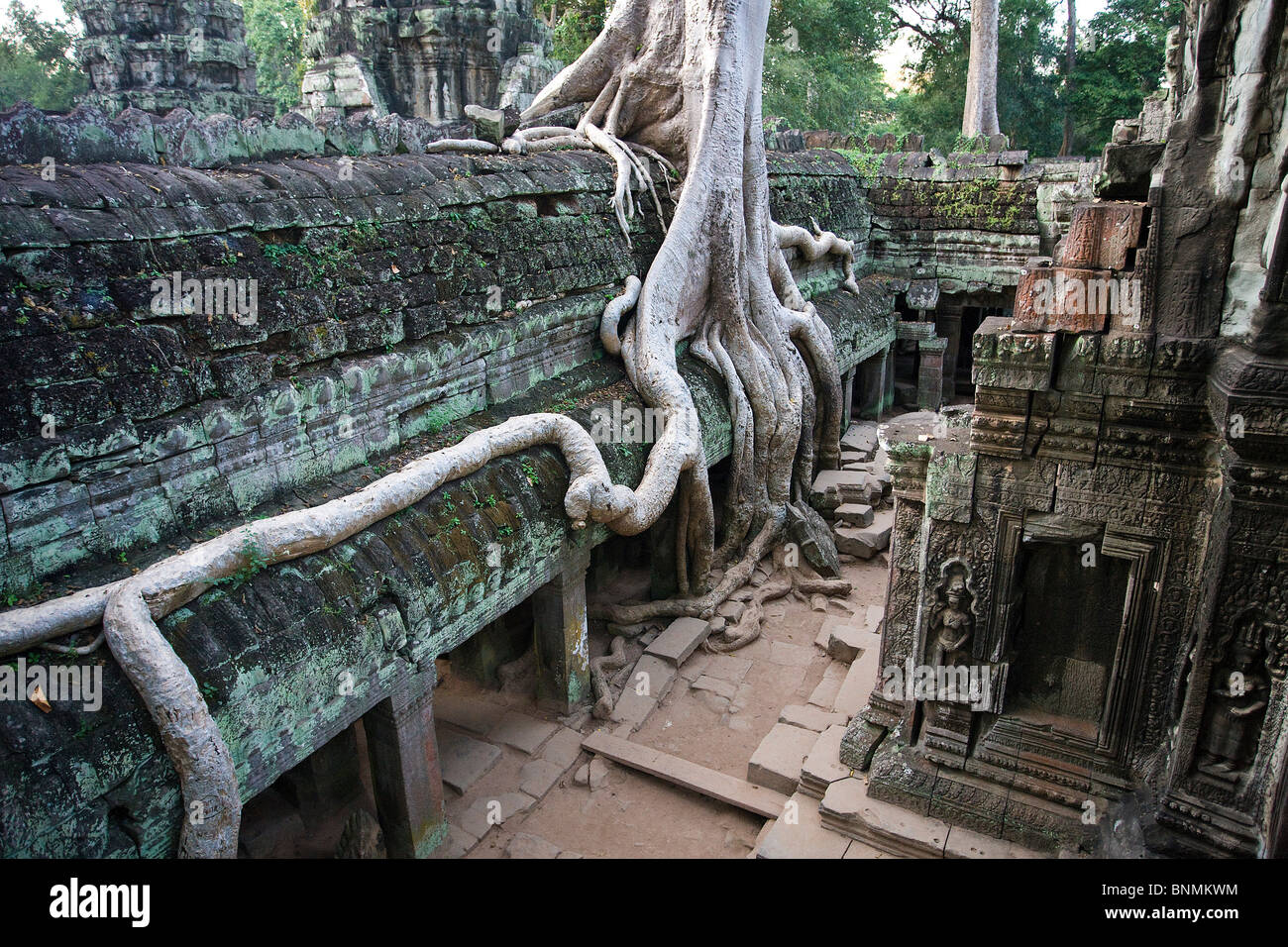 Cambogia in Estremo Oriente Asia Buddismo Angkor Thom tempio religione ...