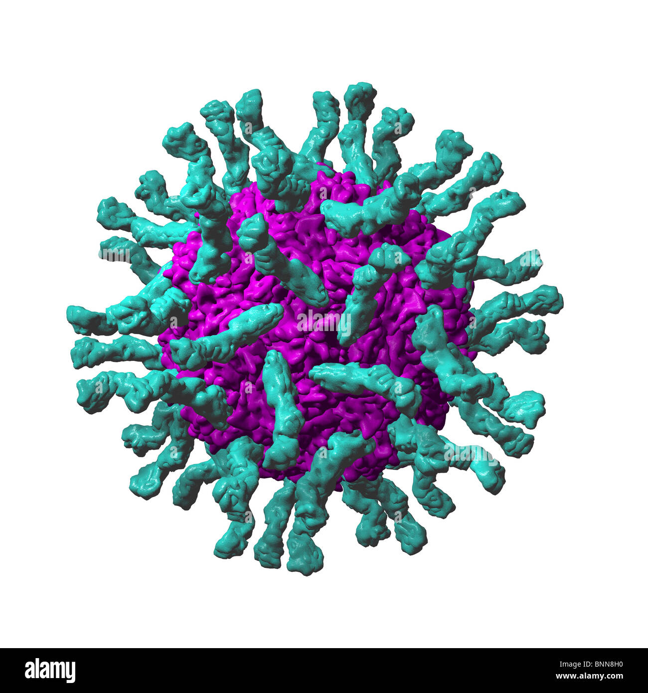 Particella di poliovirus Foto stock - Alamy