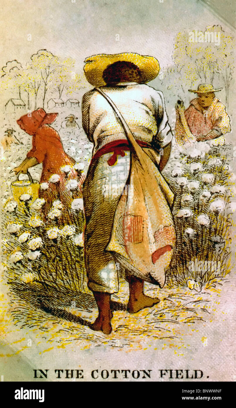 Slavery cotton immagini e fotografie stock ad alta risoluzione - Alamy