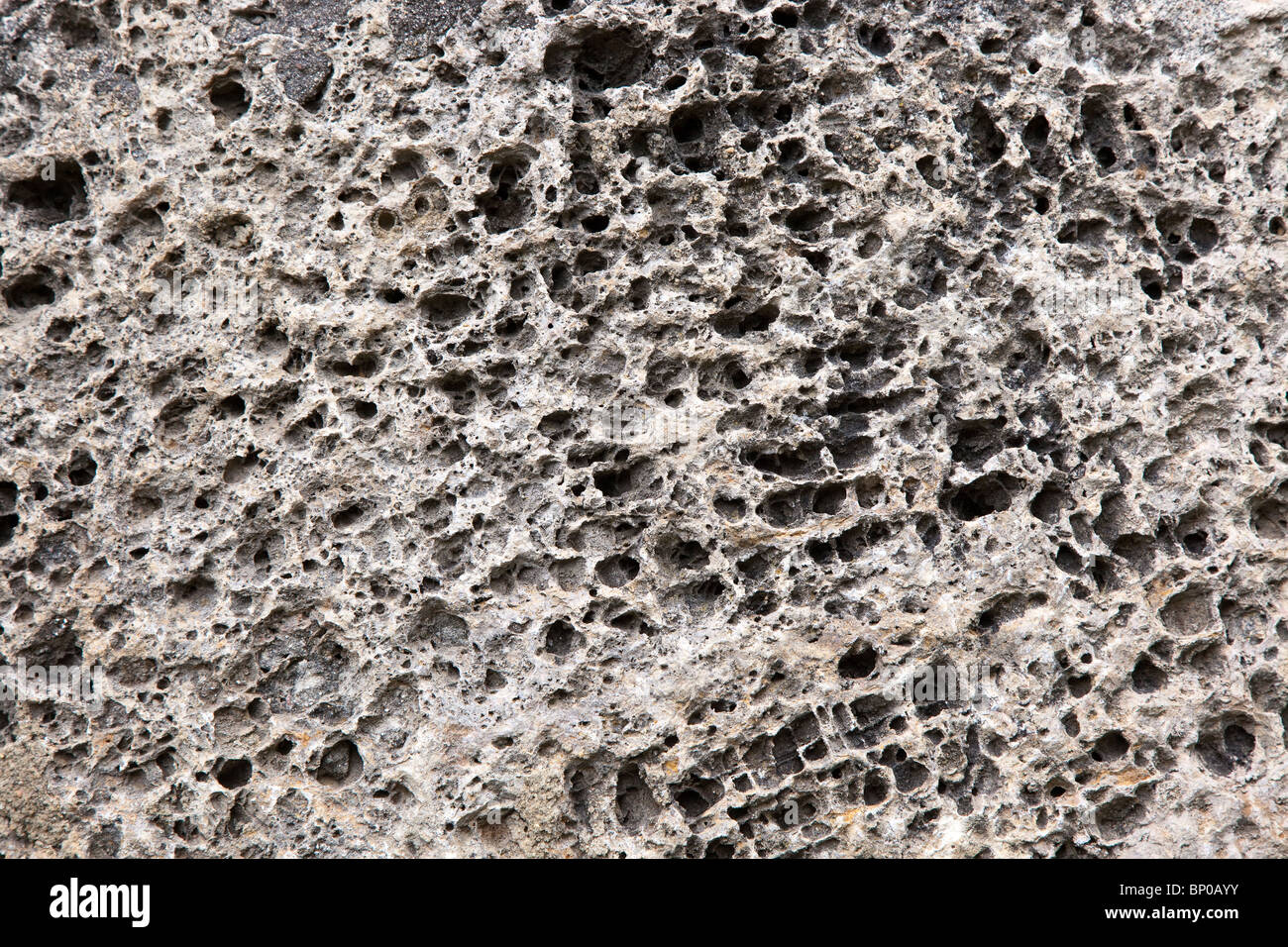 Roccia con buchi immagini e fotografie stock ad alta risoluzione - Alamy